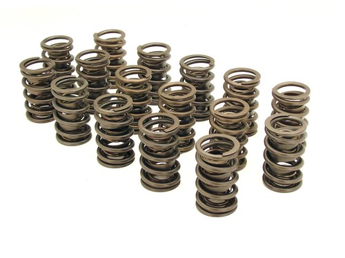 Elgin Stage-3 .600 lift Dual Valve Springs Set 16 for SB Ford 302 Hyd ...