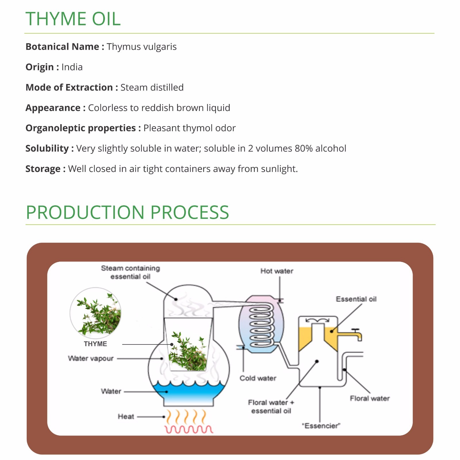 Salvia Thyme Essential Oil for Diffuser – 100% Pure & Natural | 10ml ...