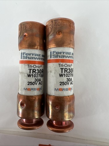 Gould Shawmut Tri-onic TR30R Duel Element Time Delay 30A 250V AC Lot of ...