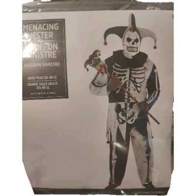 Adult Jester Costume | eBay