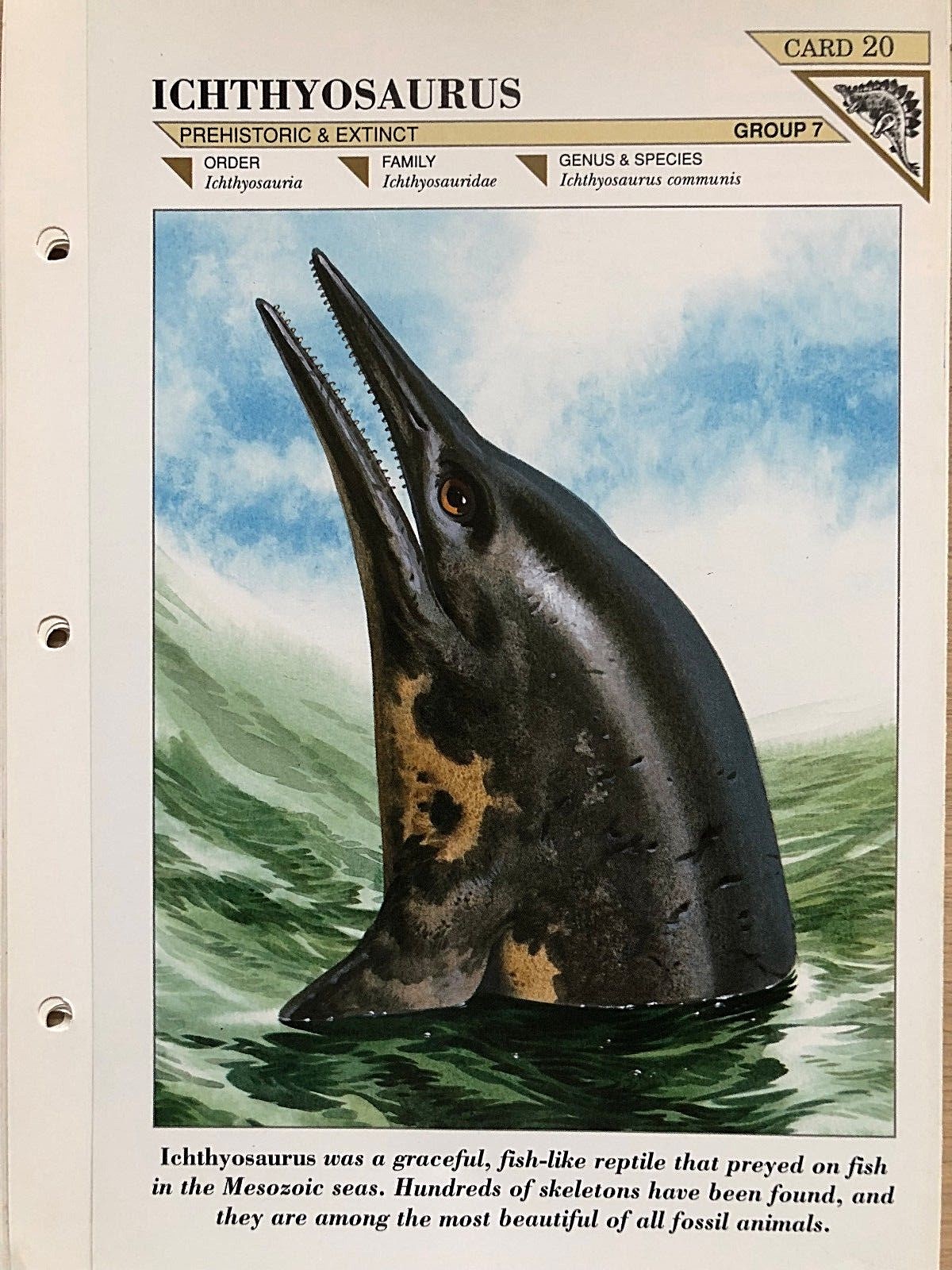 Wildlife-Fact-File-Extinct Animals-Wild Animals-School-Nature-From 1 to ...