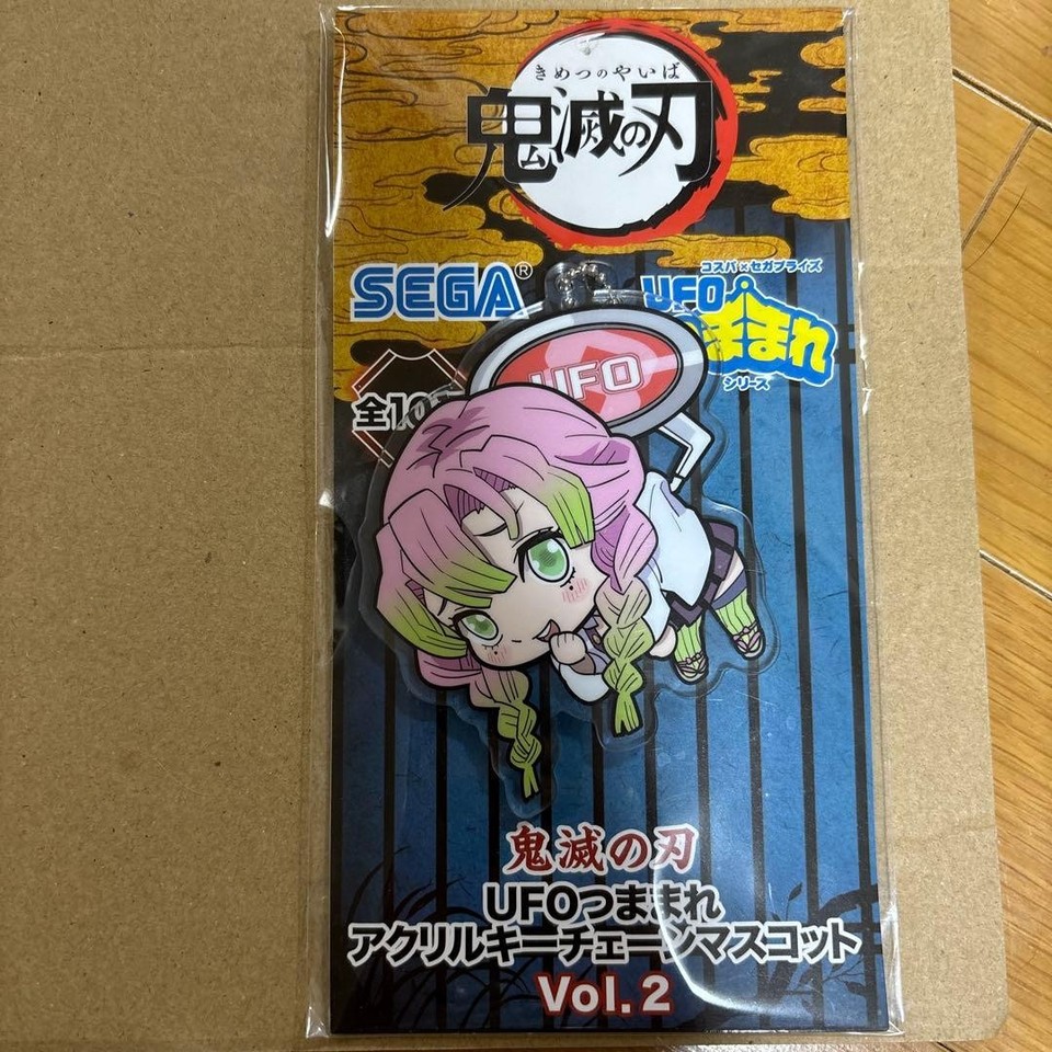 Demon Slayer: Kimetsu No Yaiba Kanroji Mitsuri Summary Set | eBay