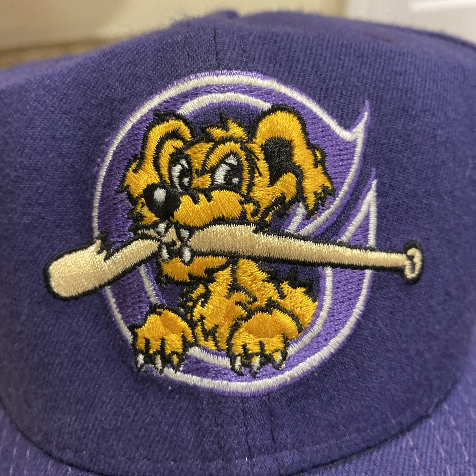 Vintage Charleston Riverdogs Hat Snapback New Era Made In USA Minor ...