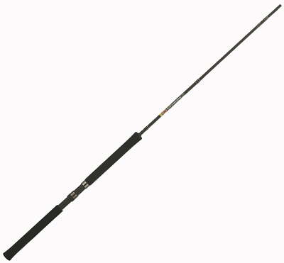 Buck's 10' Graphite Jig Fishing Pole Lightweight EVA Handle Dynaflow ...