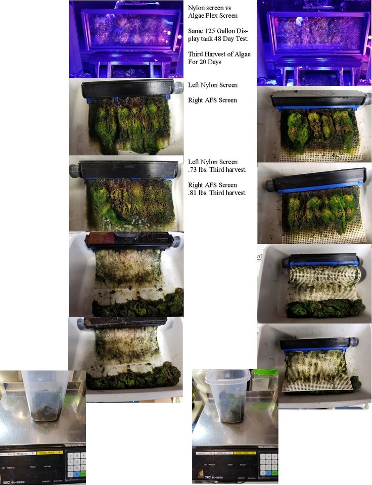 Algae Clean Scrubber Hang on Sump ACS-7-S-G5 with NEW Algae Flex Screen ...