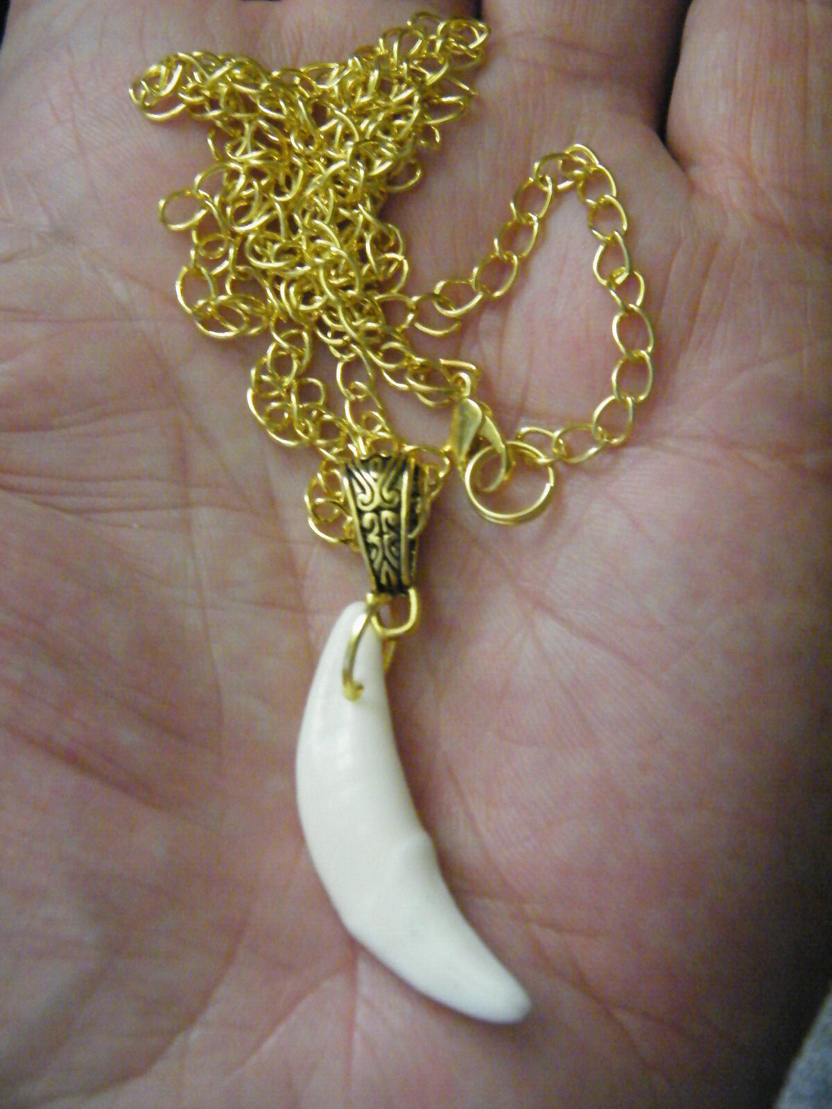 COYOTE Tooth Necklace 1 3/4" OFF White Big Real Teeth Pendant 25" Gold ...