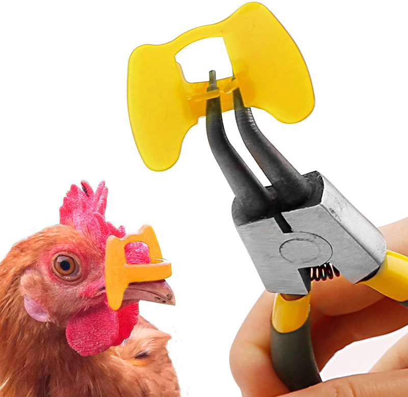 Chicken glasses Farm chicken coop Chicken eye glasses Anti-pecking ...