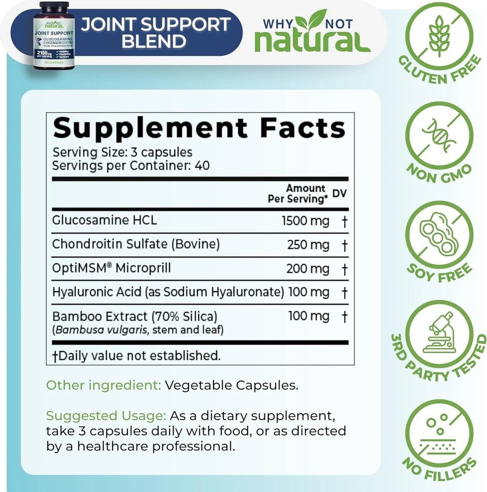 Why Not Natural Glucosamine Chondroitin MSM Joint Support Supplements ...