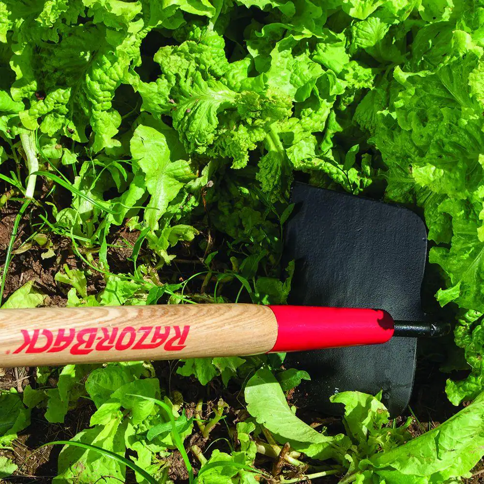 Meadow/Blackland Garden Hoe Strong Long Hardwood Handle Steel Head ...