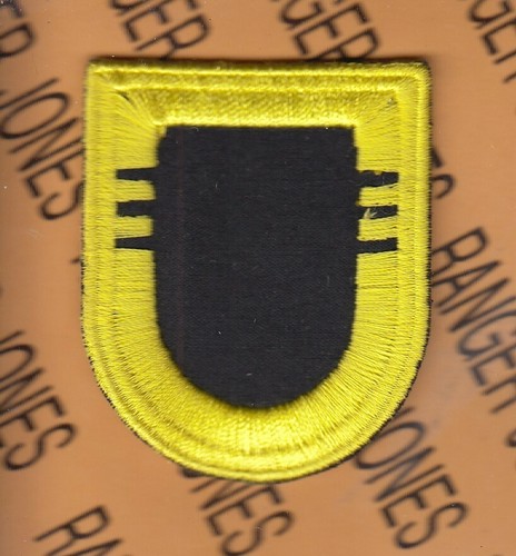 3rd Bn 509th Airborne Infantry Regiment AIR PIR ARCTIC beret flash ...