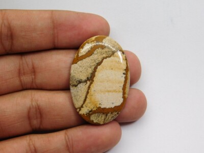 Top 100% Natural African Picture Jasper Cabochon Loose Gemstone 50 Cts ...