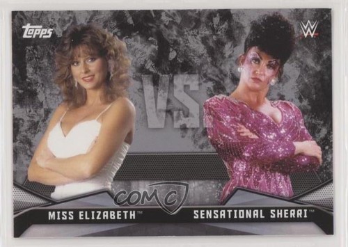 2016 WWE Divas Revolution Rivalries Miss Elizabeth Sherri Martel vs ...