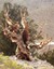 Bristlecone Pine, Pinus aristata, Tree Seeds (Hardy Evergreen, Bonsai ...