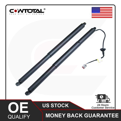 Pair Rear Tailgate Power Hatch Lift Support Strut For Tesla Model S ...