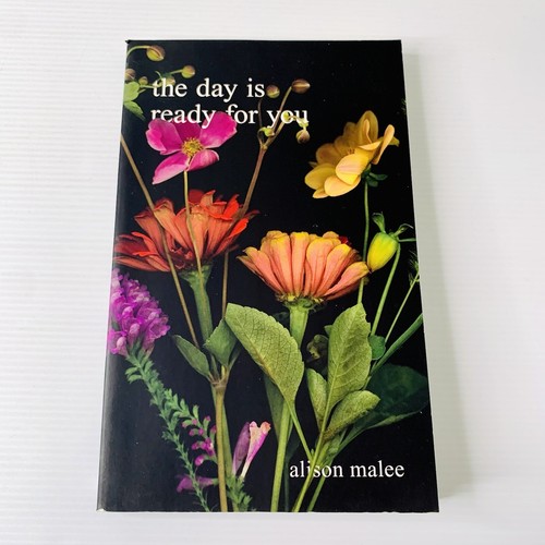 The Day Is Ready for You by Alison Malee 2018 Paperback Poetry Poems ...