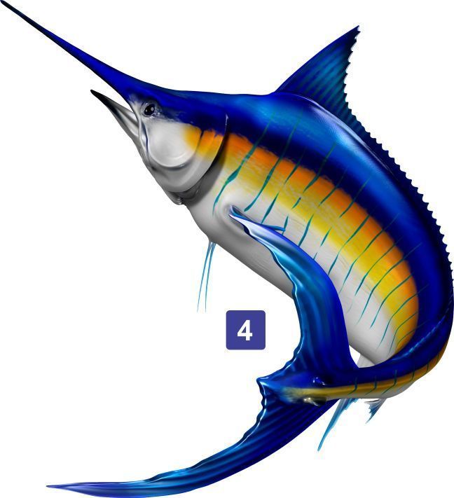 Stripped Marlin Vinyl Sticker Fish Decals for Boat Car Vehicle Truck ...