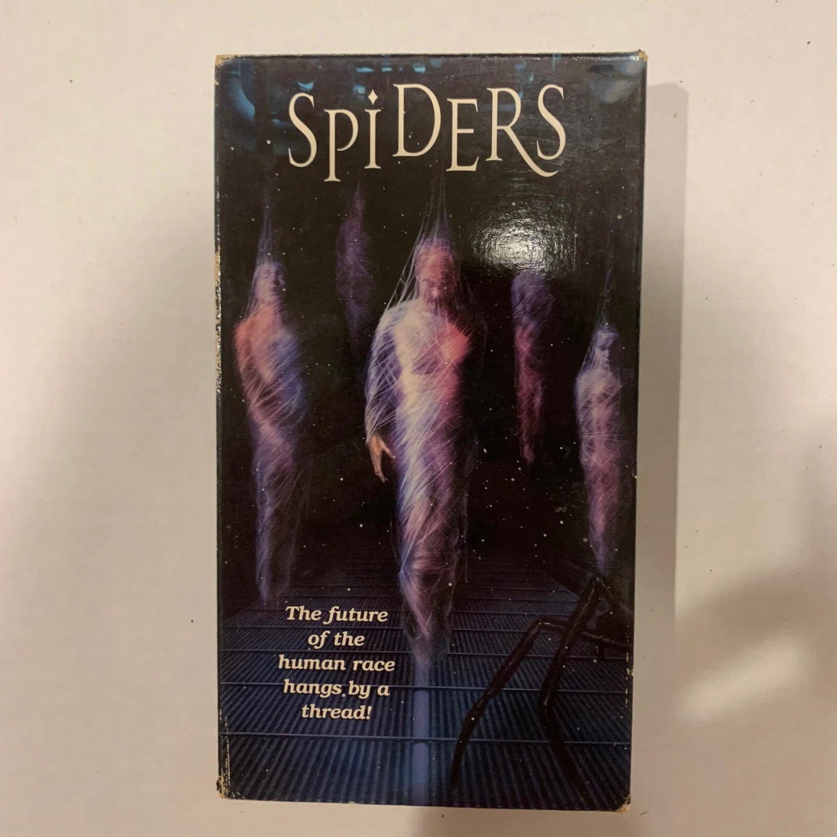 Spiders 2000