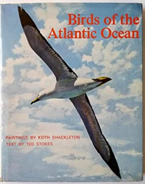 Birds of the Atlantic Ocean by Keith Shackleton and Ted Stokes (1968 ...