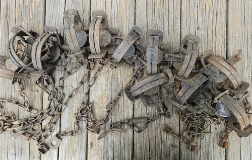 12- #1 3/4 Sleepy Ceek Coil Spring Traps | eBay