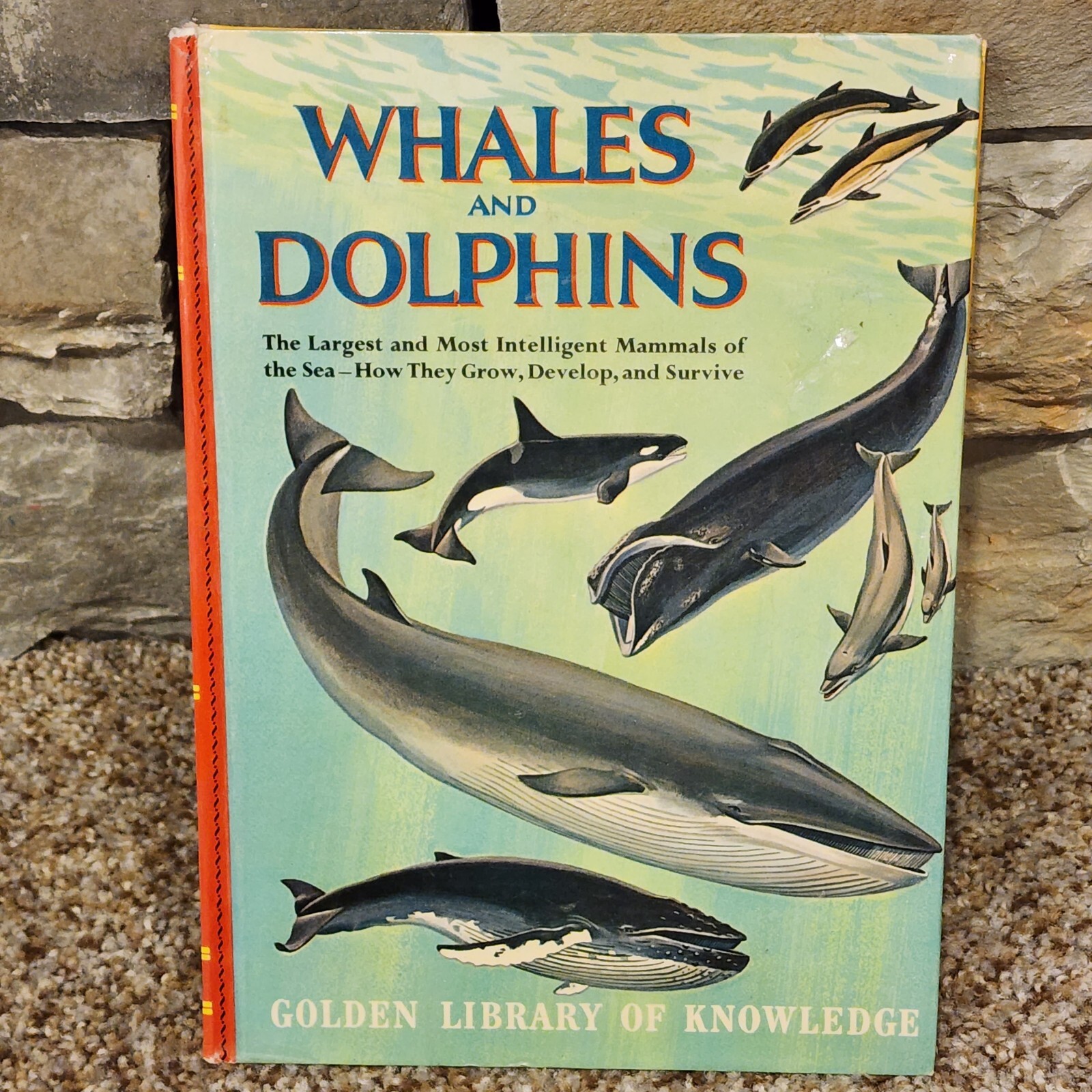 The Golden Library of Knowledge WHALES AND DOLPHINS Circa 1963 "A ...