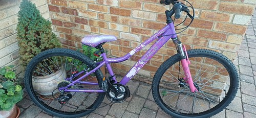 Apollo Independence Junior Mountain Bike - 26" Wheel - purple colour ...