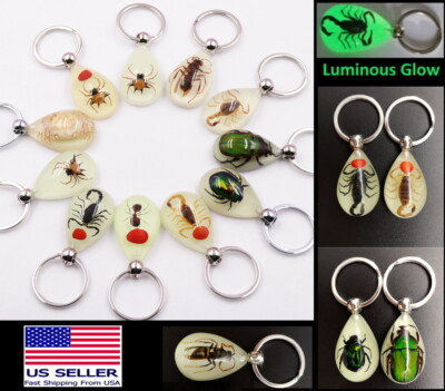 Luminous Real Insect Bug Beetle Glowing Keychain Glow in Dark Tear Drop ...