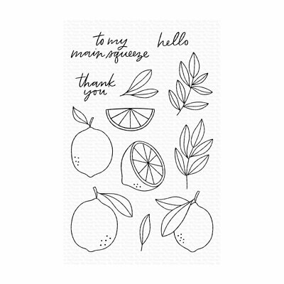 My Favorite Things Clear Stamp Set 4in x 6in - Main Squeeze* | eBay