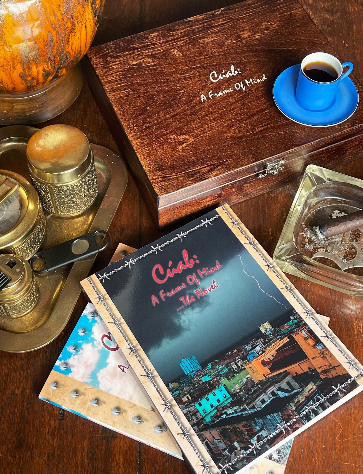 Elegant "Treasure Box" Coffee Table Book Set ~ Novel & Cookbook! FREE ...