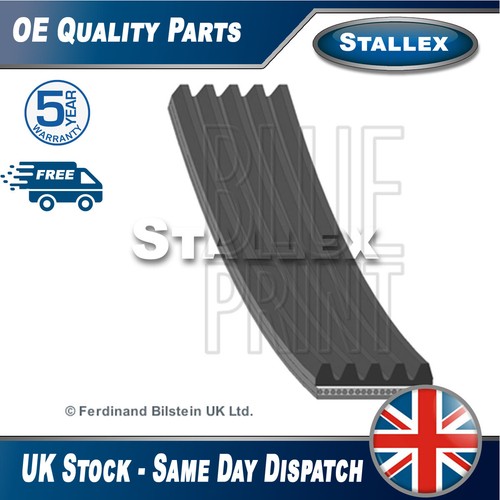 Fits Shogun Pinin Carisma Colt Space Star Picnic V Ribbed Drive Belt ...