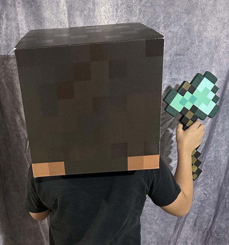 Minecraft Steve Block Head Box Mask & Axe Ax Tool Halloween Costume ...