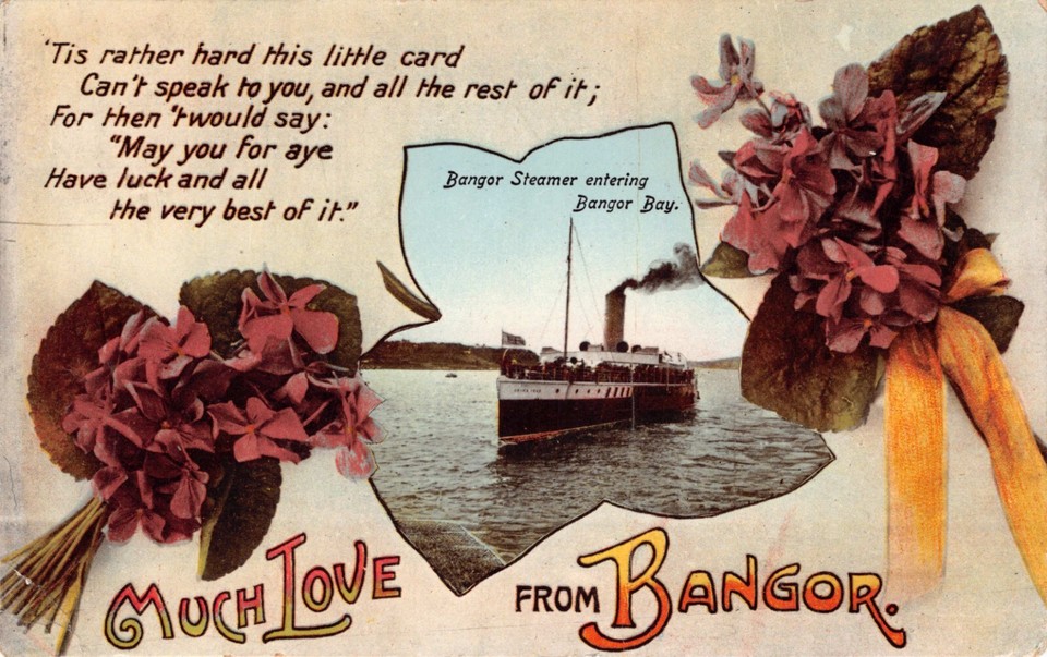 FAMILY HISTORY - GENEALOGY POSTCARD - JOHNSTON - BELFAST WOODSTOCK ROAD ...
