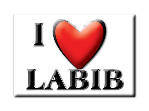 Labib Calamita Magnete da Frigo nome Idea Regalo Scherzo Compleanno | eBay