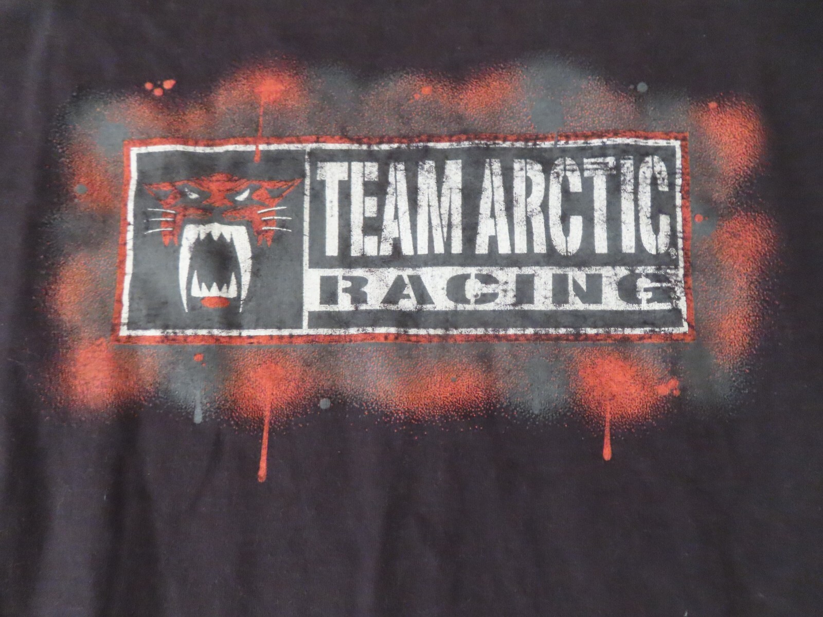 Team Arctic Logo