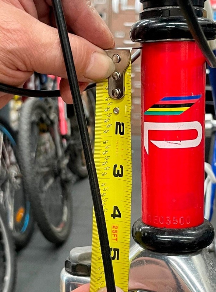 Schwinn Paramount logo head tube decal X1 sticker adesivi autocollant ...