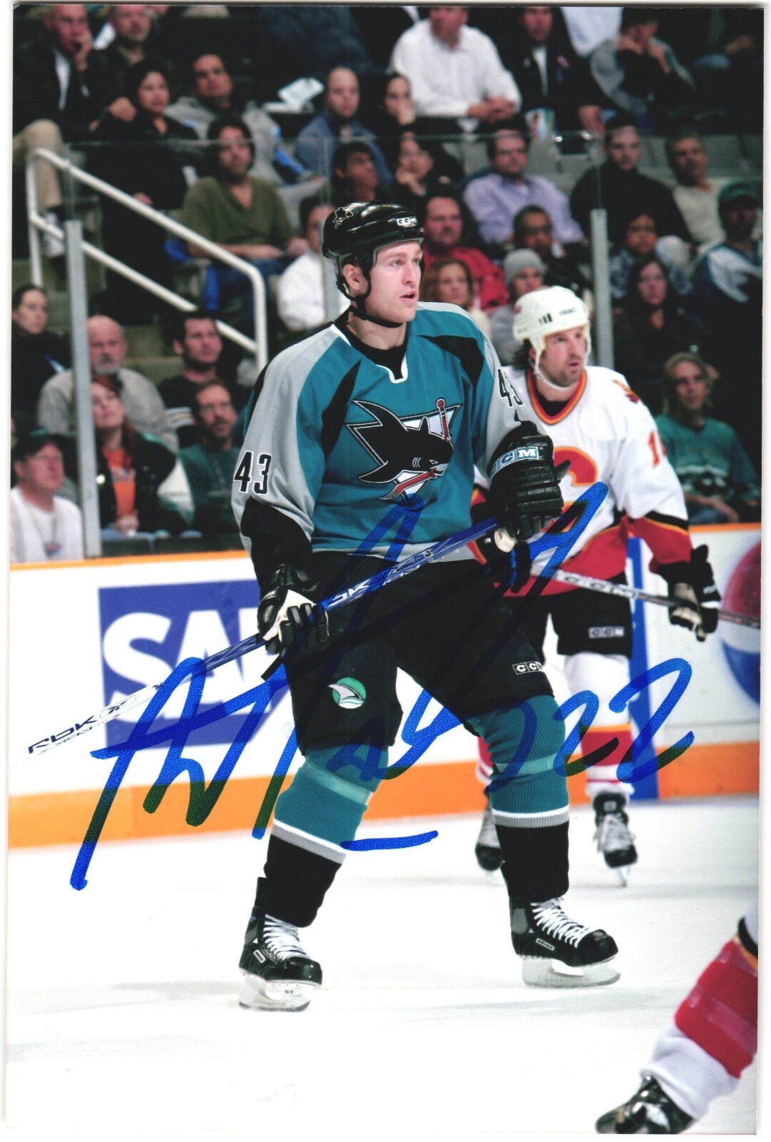 Matt Carkner Autographed 4x6 Color Photo San Jose Sharks #43 Blue B | eBay