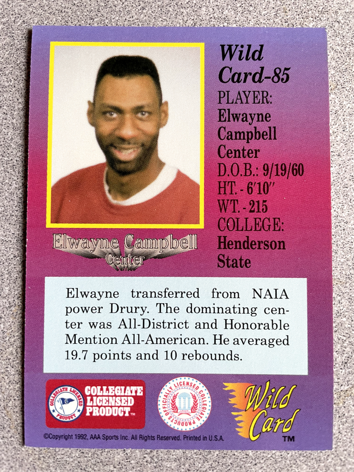 1991-92 Wild Card Demetrius Calip 20 Stripe Card Michigan | eBay