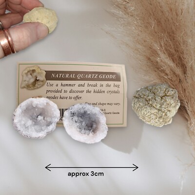 Break Your Own Geode Small Geode Stone with Natural Quartz Geology Gift ...