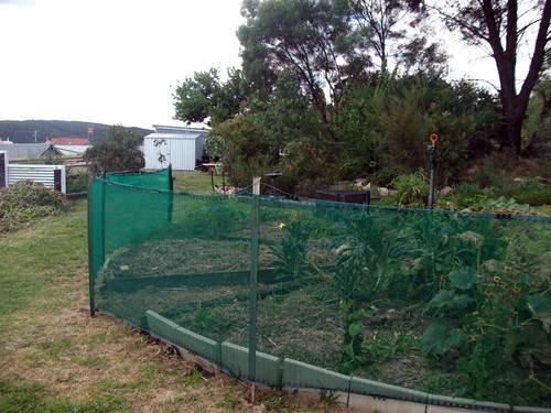 Windbreak / Pet Fence .95m x 20m; Green; 140gsm; Knitted Eyelets Top ...