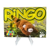 Ringo the Raccoon - Beanie Babies - Beaniepedia