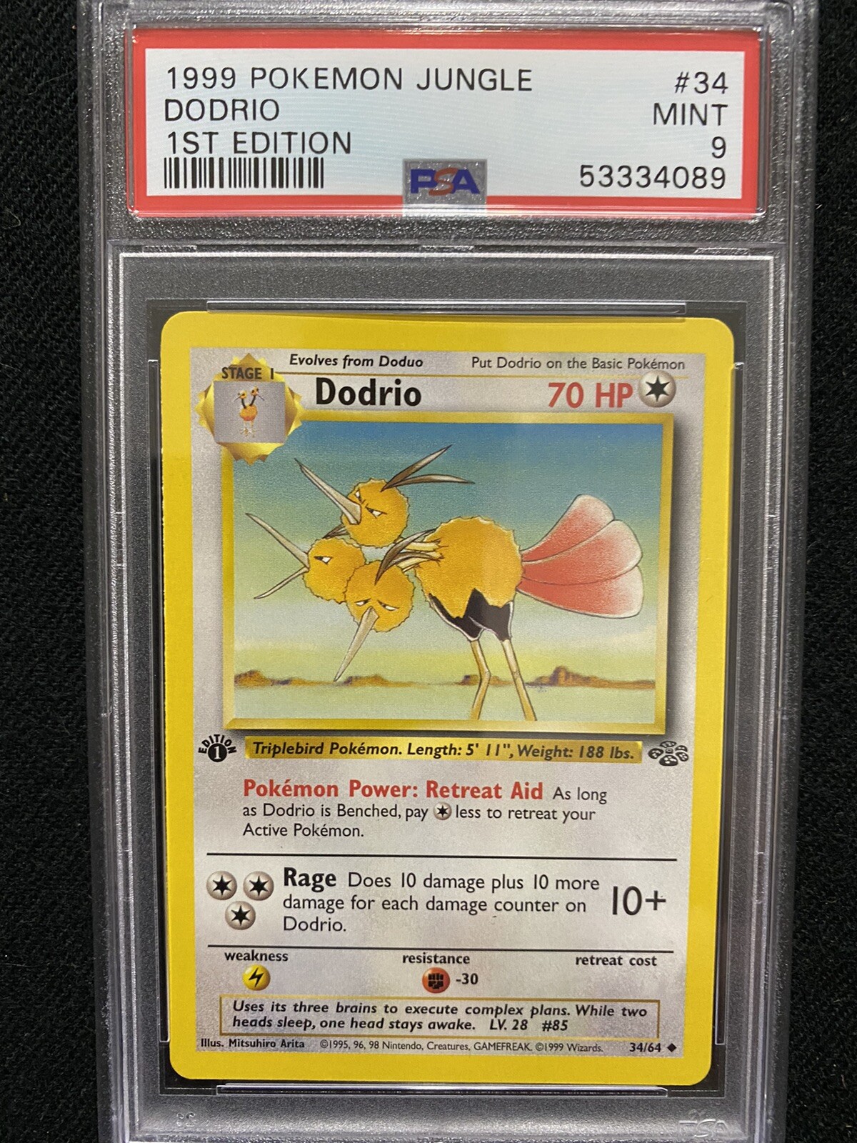 1999 Pokemon Jungle 1st Edition Dodrio 34/64 PSA 9 Mint | eBay