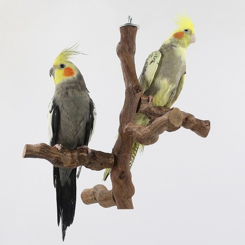 Bird Perch Chewing Multi Branch Perch for Love Birds Cockatiels Macaws ...