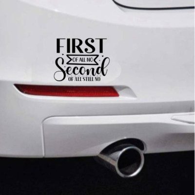 Car Bumper Stickers Funny Car Decal Novelty Hilarious Car Window Funny ...