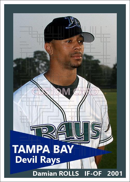 Damian Rolls - 2001 Tampa Bay Devil Rays - 2.5 x 3.5 custom card (blank ...