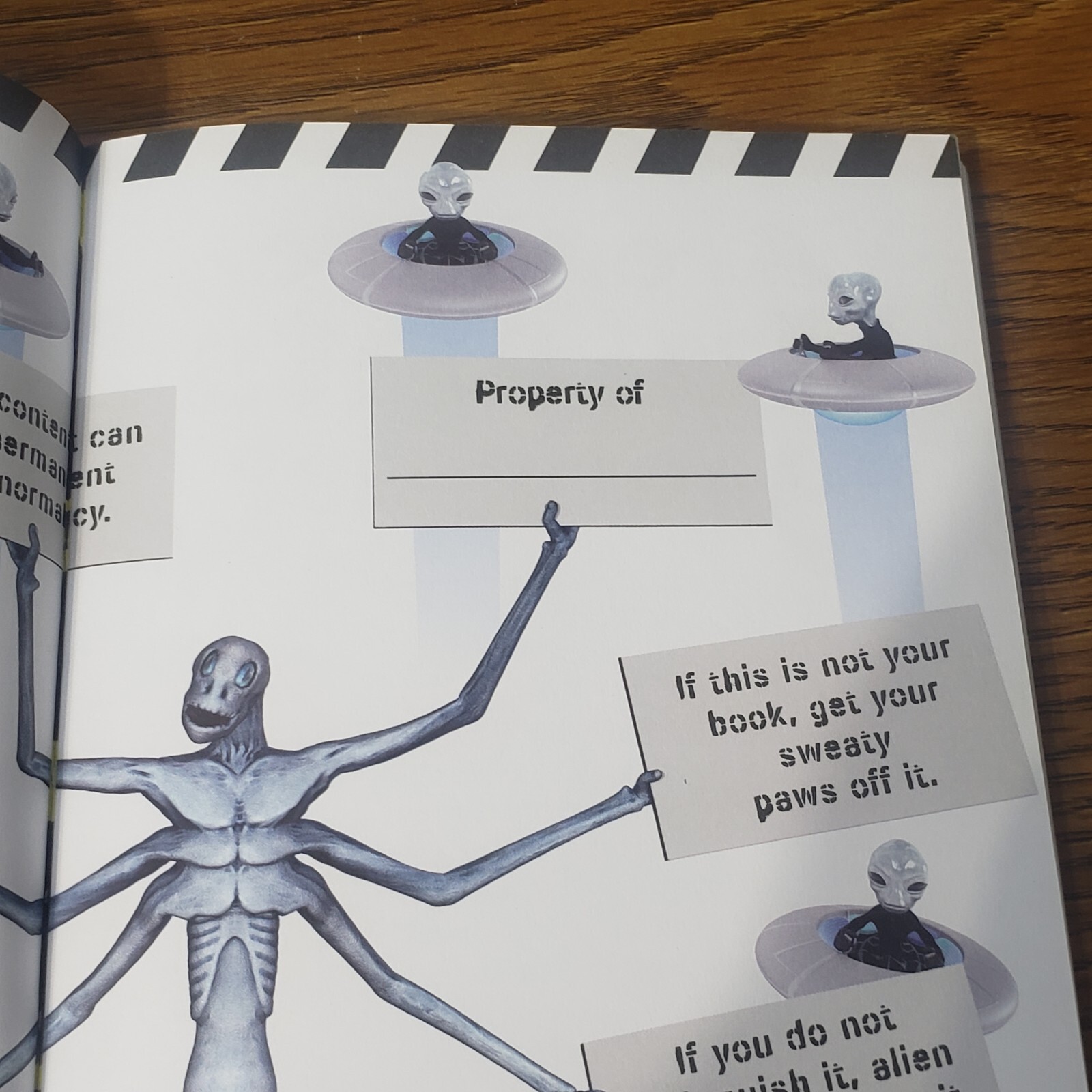 Dude No. 2 : The Book of Crazy, Immature Stuff! by Cheryl Gill and ...