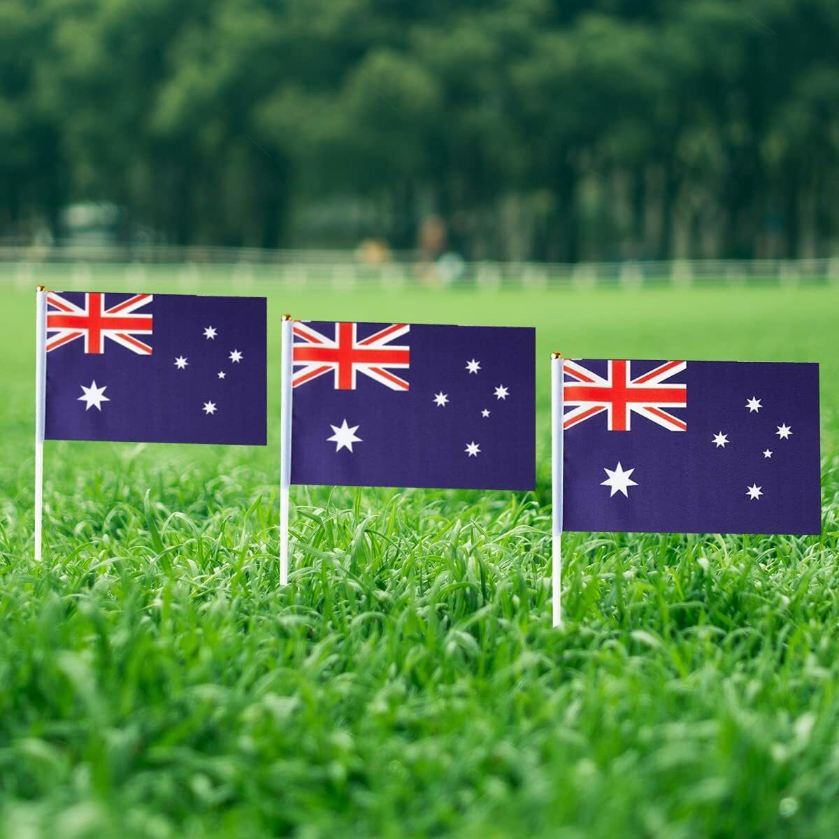 10X Hand Held Small Waver Aussie Flags Australia Flag Party Australia ...