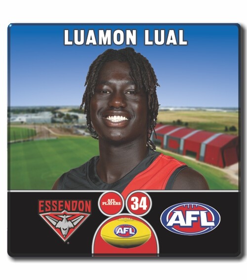 2024 AFL Essendon Football Club - LUAL, Luamon | eBay