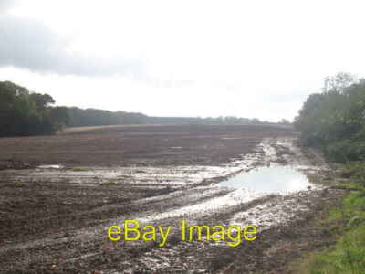 Photo 6x4 Field and Yewtree Copse Ridge/SU3418 What looks like a ...