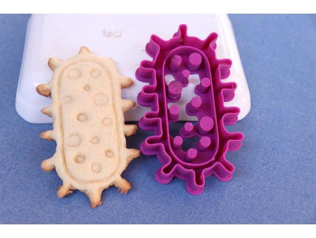 Bacteria Cookie Pastry Biscuit Cutter Icing Fondant Baking Science ...