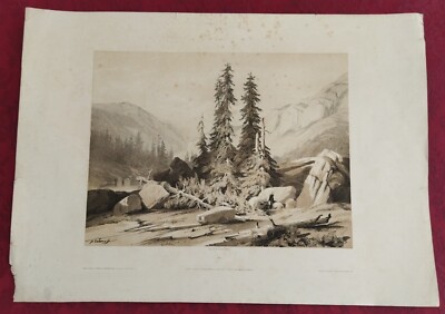 Grande lithographie XIX s:Alexandre Calame-Paysage de montagne sapins ...