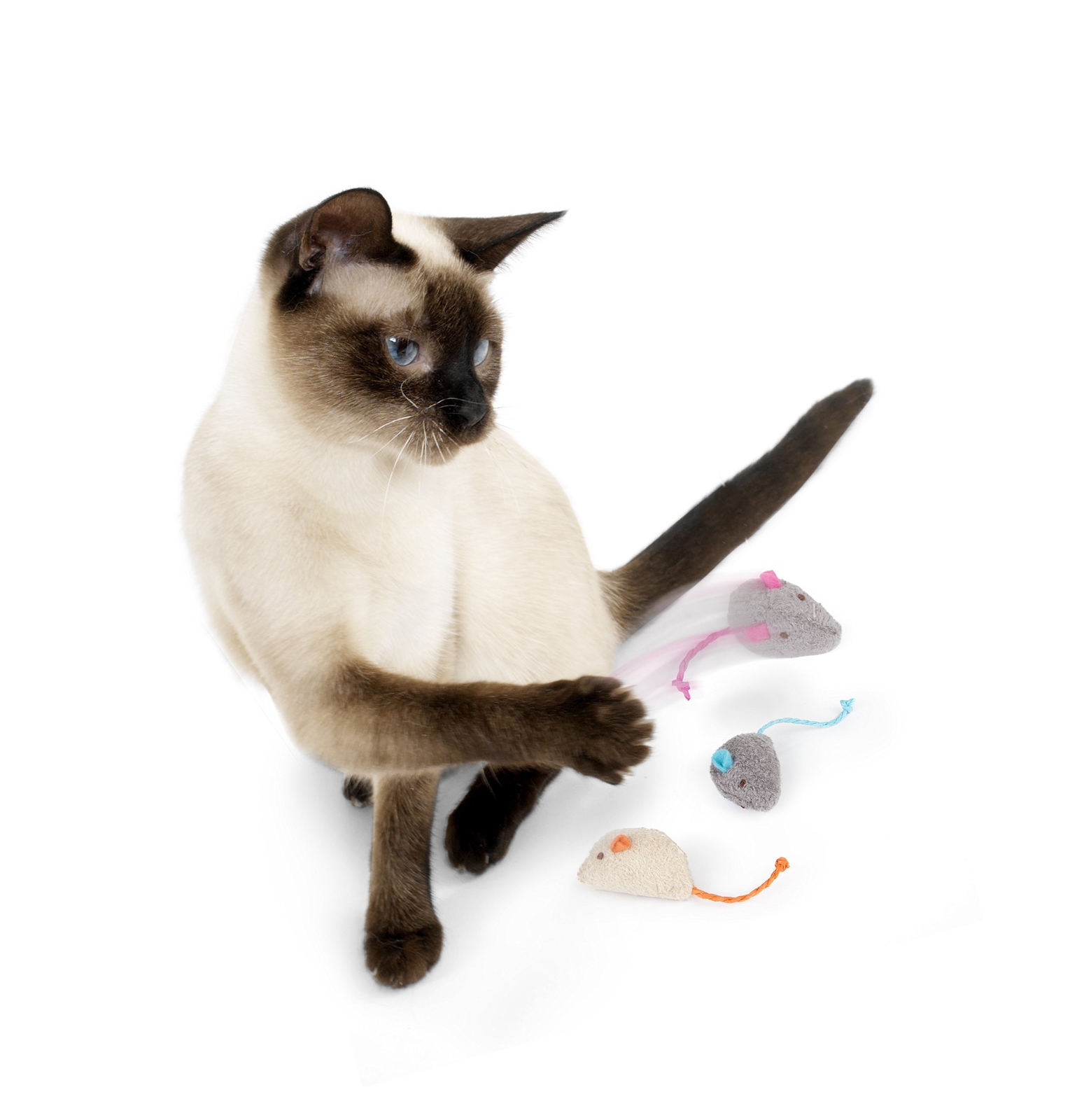 SmartyKat Catnip Cat Toys Skitter Critters | eBay